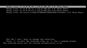 Remove Old Kernels In Rocky Linux Centlinux