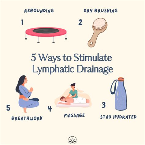 What Is Lymphatic Drainage Improve Your Lymphatic Health