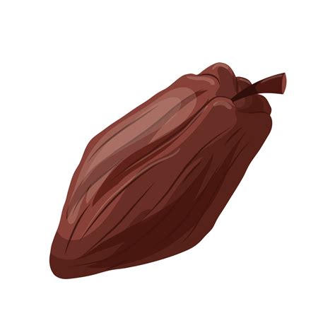 Cocoa Bean Cartoon Vector 17420250 Vector Art At Vecteezy