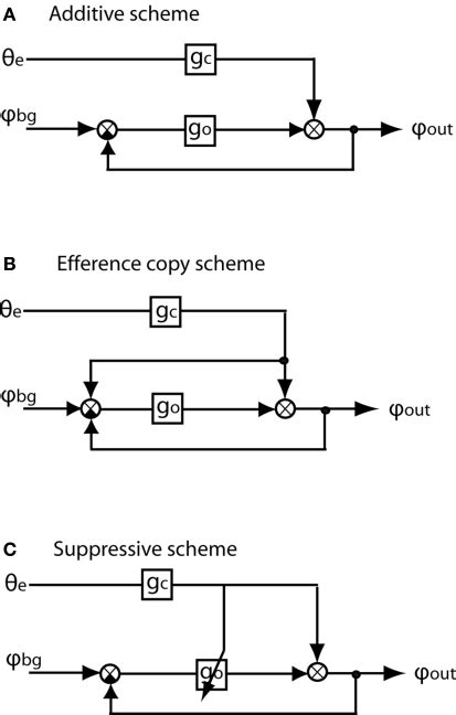 Flow Diagrams Of Three Possible Forms Of Interaction Between The Download Scientific Diagram