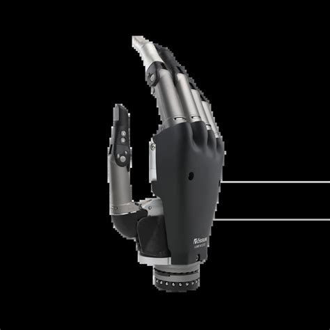 Artificial Limbs For Upper Extremity Ideal Artificial Limbs Solution