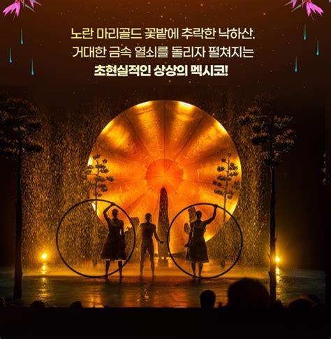 태양의 서커스 부산 공연 성료 외지인 46 관람 파이낸셜뉴스