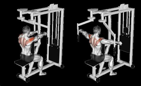 Machine Reverse Fly Guide Muscles Worked Tips Athlemove