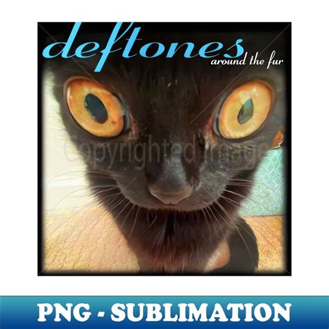 Deftones Around The Fur Cat Meme At Laura Burke Blog