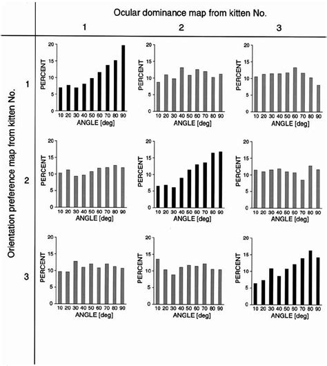 Quantitative Analysis Of Intersection Angles Between Iso Orientation
