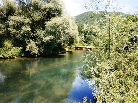 Sanica 2014. | List MUŠIČAR