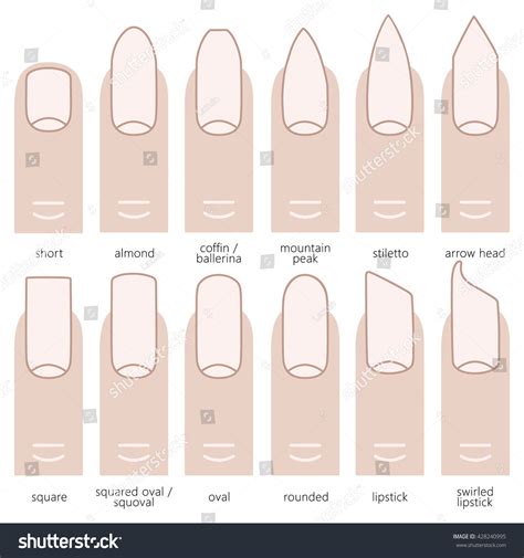 Different Nail Shapes Fingernails Fashion Trends Stock Vector Royalty Free 428240995