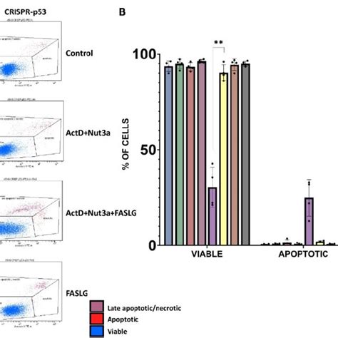 The P53 Is Indispensable For The Induction Of Apoptosis Of Cells