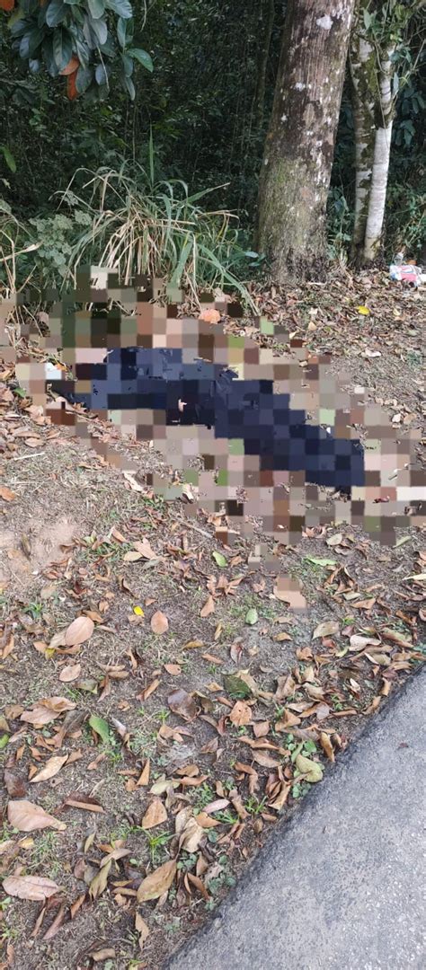 Homem é Encontrado Morto A Tiros Em Penedo Diário Do Vale