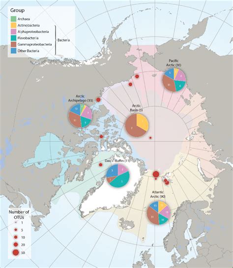 12 Bacteria And Archaea Across Five Arctic Marine Areas Amas Based Download Scientific