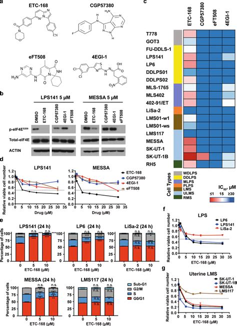 Mnk Inhibitor Etc 168 Exerts A Potent Antiproliferative Activity