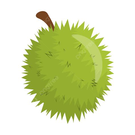 新鮮榴蓮水果貼紙圖像 向量 榴莲卡通 榴莲插画 手绘榴莲向量圖案素材免費下載，png，eps和ai素材下載 Pngtree