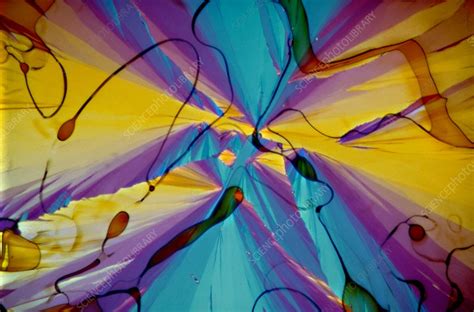 Vitamin E Crystals Lm Stock Image C0322906 Science Photo Library