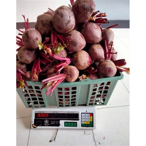 Jual Beetroot Kg Shopee Indonesia