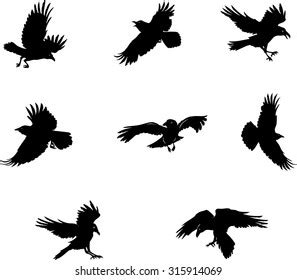 17 516 Raven Flying Images Stock Photos 3D Objects Vectors