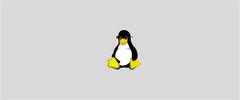 First Step Toward Becoming A Linux Wizard Dev Community