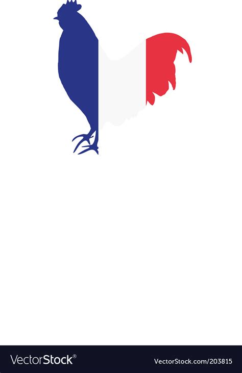 French Cock Royalty Free Vector Image Vectorstock