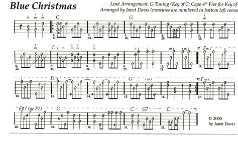 Best 5 String Banjo For Beginners Beryforms