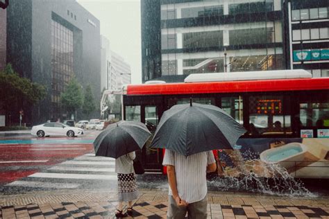 Tiffen Glimmerglass Filter Review Alik Griffin