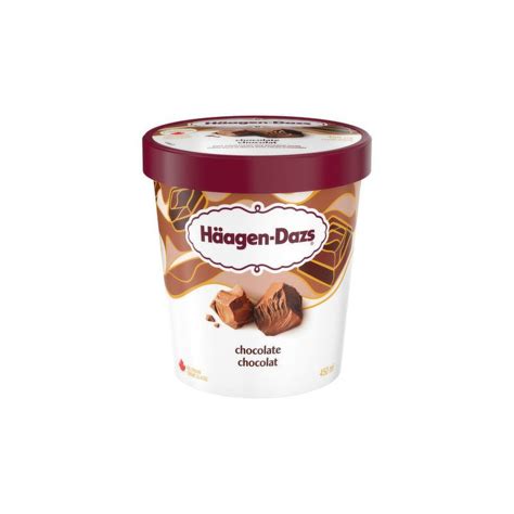 Haagen Dazs Ice Cream Chocolate 450 Ml
