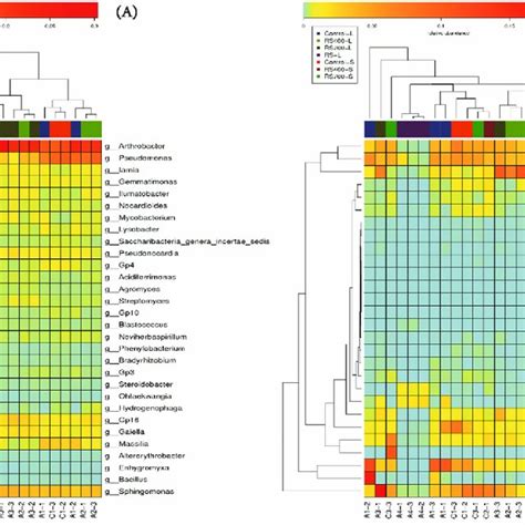 Heatmaps Showing Relative Abundances Of The Biomarkers With The Top 30