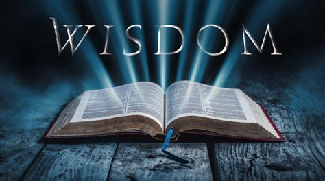 The Book Of Wisdom Stock Illustration Illustration Of Joshua 315692026