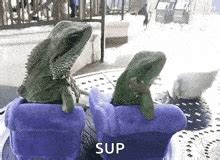 Lizard Meme Hehehe S Tenor