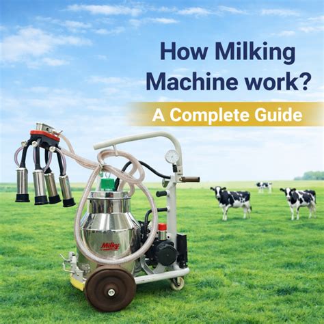 How Milking Machines Work Modern Dairy Farming Explained