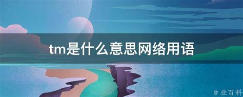 tm是什么意思网络用语 业百科