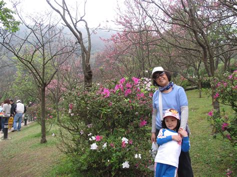 Pclin幸福網 即日起搬到「pclin 幸福好站」 2012 陽明山花季
