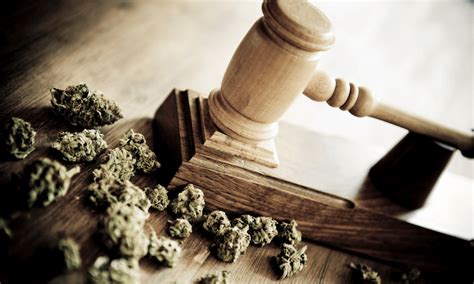 The Time To Decriminalise Cannabis Is Now The Spinoff