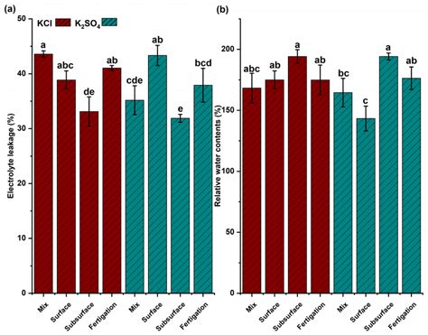 The Effect Of K Application Methods And Their Sources KCl And K SO Download Scientific
