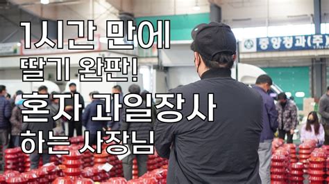 잘나가는 회사 그만두고 혼자 과일 장사하는 35살 사장님 1시간 만에 딸기 완판 노하우 대공개 Youtube