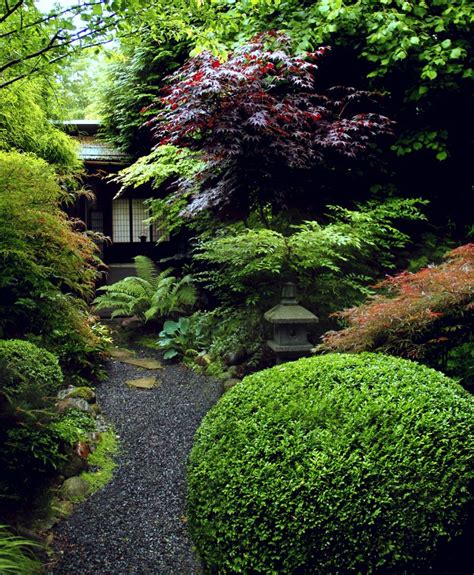 Japanese Garden Fokko Jelsma Japanese Garden Landscape Small