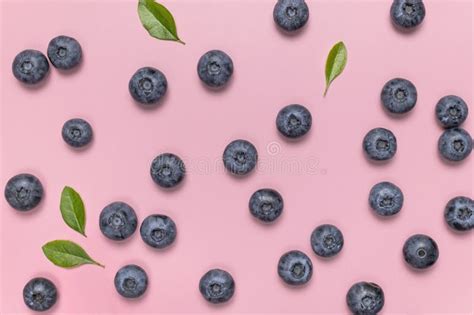 Fresh Juicy Blueberries With Green Leaves On Pink Background