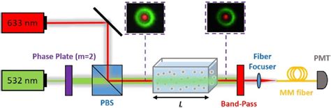 Schematic Of Experiment An Optical Vortex Beam With M 2 Is Launched