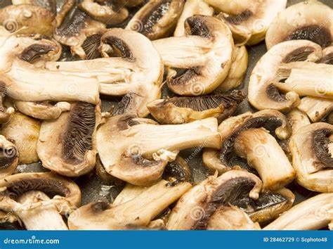 Cogumelos Que Fritam Na Bandeja Imagem De Stock Imagem De Nave Alimento 28462729