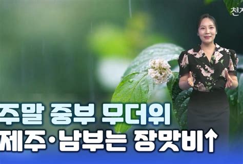 네이버 인플루언서