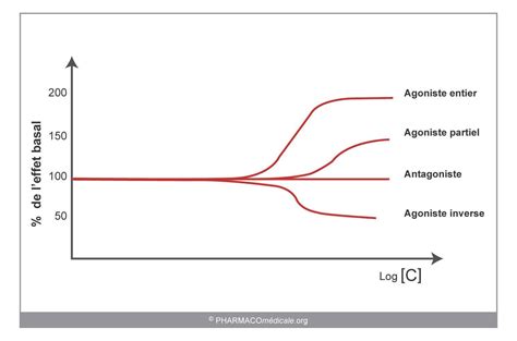 Relations Concentration Effets