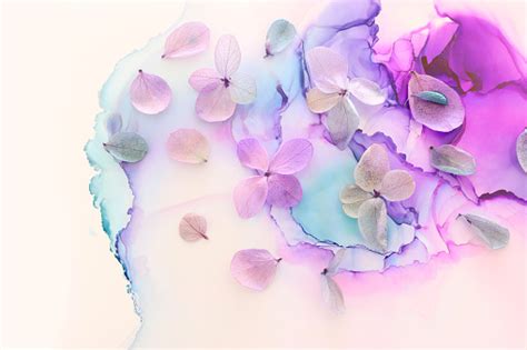 예술 잉크 배경에 파스텔 바이올렛과 핑크 하이드랑가 꽃의 창조적 인 이미지 복사 공간이 있는 상단 보기 0명에 대한 스톡 사진