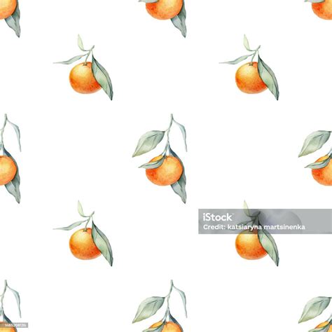 원활한 수채화 감귤류 과일과 잎 패턴 흰색 배경에 녹색 잎과 오렌지 과일 원활한 만다린과 오렌지 수채화 일러스트레이션 0명에 대한 스톡 벡터 아트 및 기타 이미지 Istock