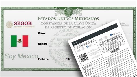 Verificación de RFC Cómo confirmar que es válido con tu CURP El