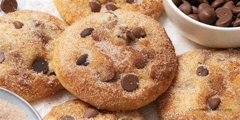 Chocolate Chip Snickerdoodles