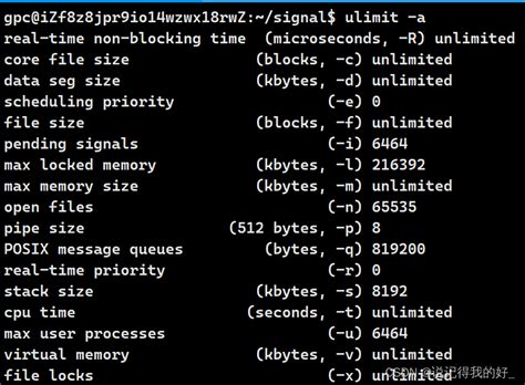 【linux进程信号（一）】信号概念产生保存处理 Csdn博客