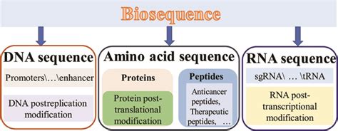 Biological Sequence Classification A Review On Data And General