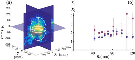 Swarm Shape A Example Of The Shape Of A Laboratory Swarm Of N 7