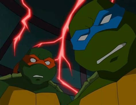 Tmnt 2003 Leo And Mikey 2 By Hedwieapotter On Deviantart