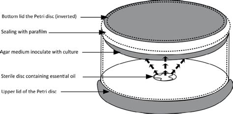 Disc Volatilization Assay Download Scientific Diagram