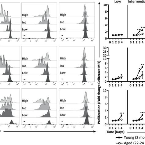 Gradual Loss Of Proliferative Capacity In Th Tc And Treg Cells With