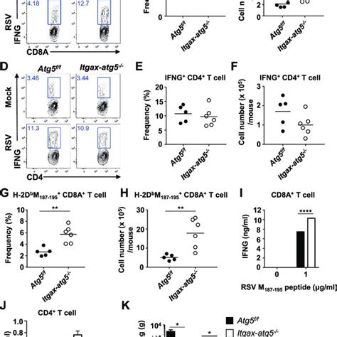 Activation Of Cd8a Cytotoxic T Cells But Not Cd4 Th1 Cells In